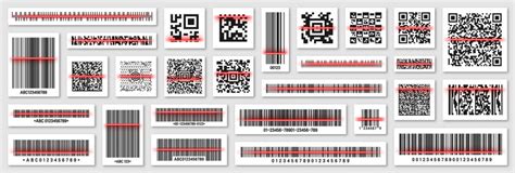 Product Barcodes And Qr Codes With Red Scanning Vector Image