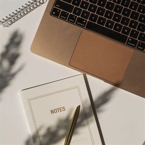 Script Writing Wnw