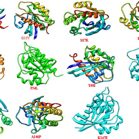 Three Dimensional Crystal Structure Of The Kras Protein Representing