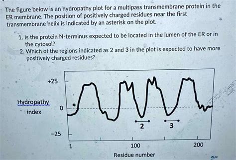 Solved The Figure Below Is An Hydropathy Plot For A Multipass Transmembrane Protein In The Er