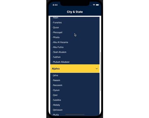 App Uses Api To Display Information About City And State User Using