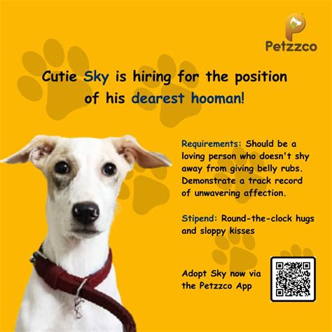 Bhagyashree Kadwe Posted On Linkedin