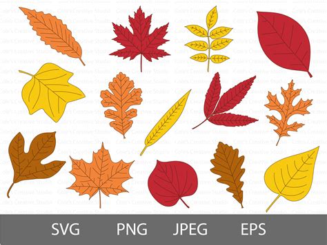 Fall Leaves Outlined Svg Graphic By Colescreativestuio · Creative Fabrica