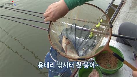 양어장 35처음 간 낚시터 낚시방법 충북 음성 용대리낚시터201798 Youtube