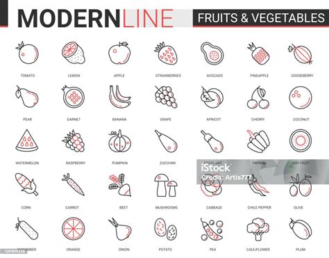 과일 야채 플랫 얇은 빨간 검은 색 라인 아이콘 벡터 일러스트 레이션 및 윤곽 선 신선한 유기농 채식 식품 기호 컬렉션 가지 채소에 대한 스톡 벡터 아트 및 기타 이미지
