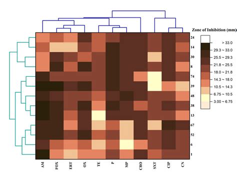 Heat Map Of Antibiotic Sensitivity Test Download Scientific Diagram