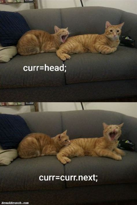 Developers Will Never Read Documentation Breakbrunch