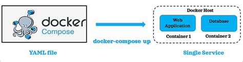 What Is Docker Compose Installation And Volumes With Examples
