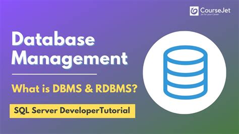 introduction to database management basics of dbms and rdbms sql