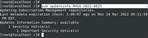 How To Check And Install Security Updates On RHEL 6 7 8 ByteXD