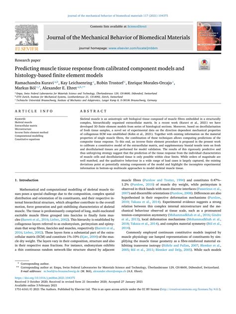 Pdf Predicting Muscle Tissue Response From Calibrated Component Models And Histology Based