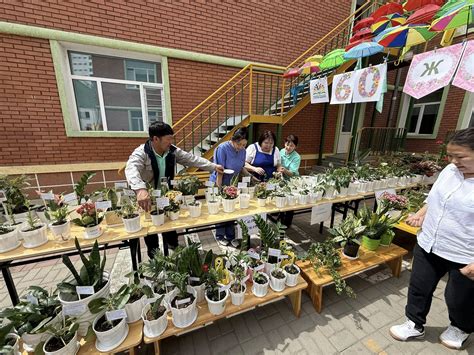 Баянзүрх дүүргийн Баянзүрх дүүргийн Боловсролын хэлтэс