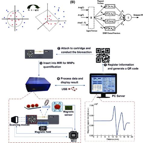 A Spatial Mapping Of The Svm Algorithm B The Svm For Nevirapine