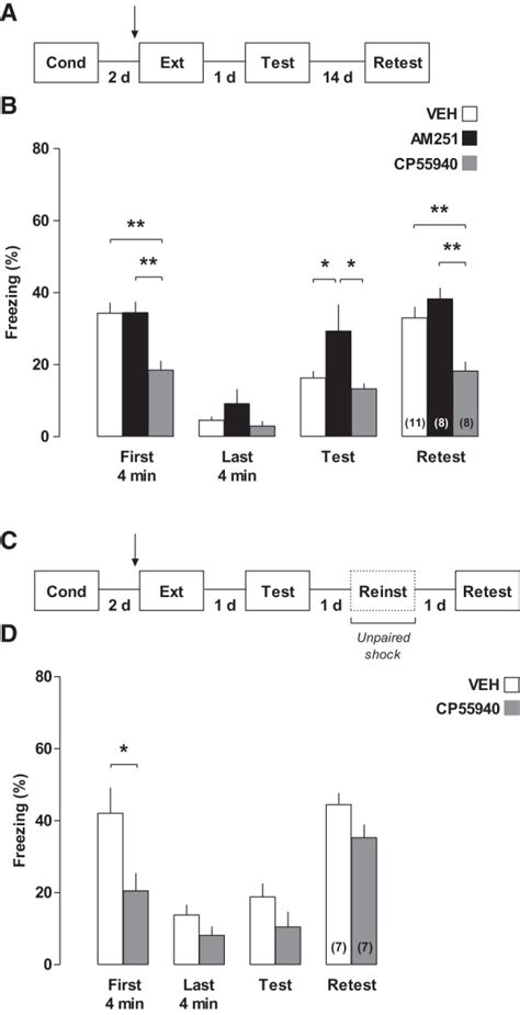 The Cannabinoid System In The Retrosplenial Cortex Modulates Fear Memory Consolidation