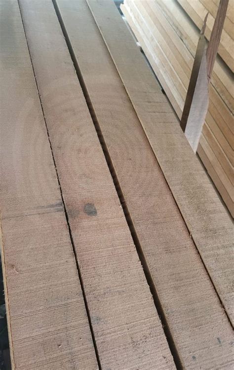 Harga Kayu Damar Laut Per Kubik Pilihan Elegan Untuk Proyek Anda Klik Kayu
