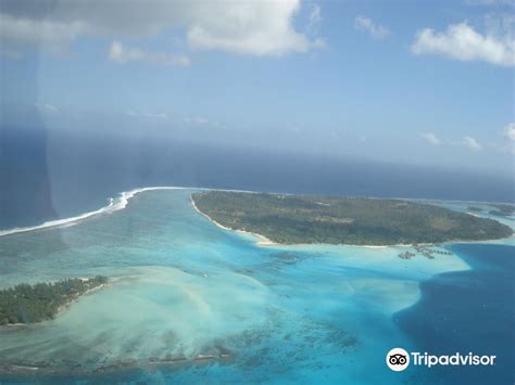 โรงแรมที่ดีที่สุดใกล้สนามบินโบราโบรา Bob ในfaanui จองที่พักราคาถูก