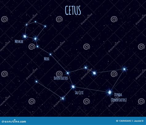 Cetus Constellation Stars In The Night Sky Cluster Of Stars And