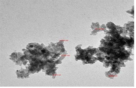 Tem Image Of Synthesized Biotic Superparamagnetic Nanoparticles From
