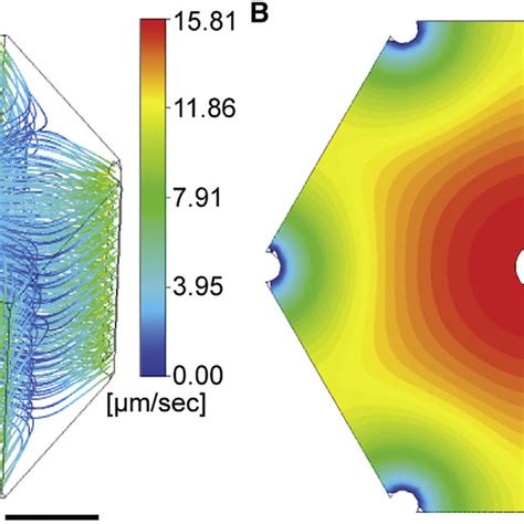 Strategy Of A Multi Scale Model Of Biliary Fluid Dynamics Download