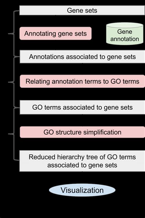 Pipeline Combining Enrichment And Annotation Simplification Assembling