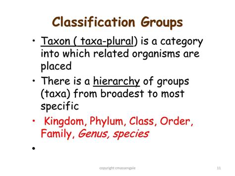Classification Ppt Download