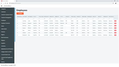 blazor radzen blazor server radzen