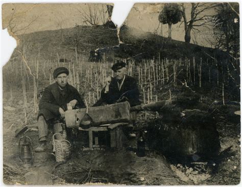 Iverieli არყის გამოხდა