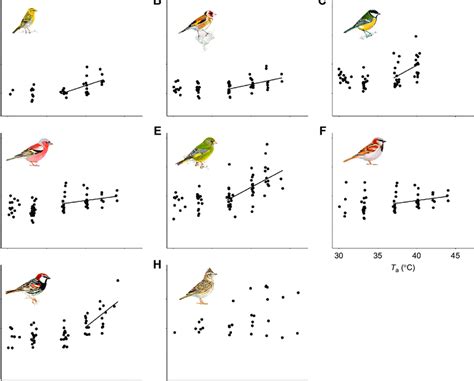 resting metabolic rate rmr as a function of air temperature t a in