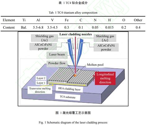 Tc4钛合金表面激光熔覆alcocrfeni高熵合金的组织与性能 宝鸡市科辉钛业股份有限公司