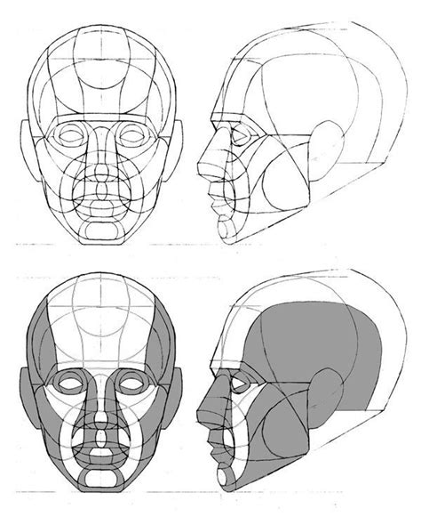 Human Head Drawing Reference Human Head Drawing Reference
