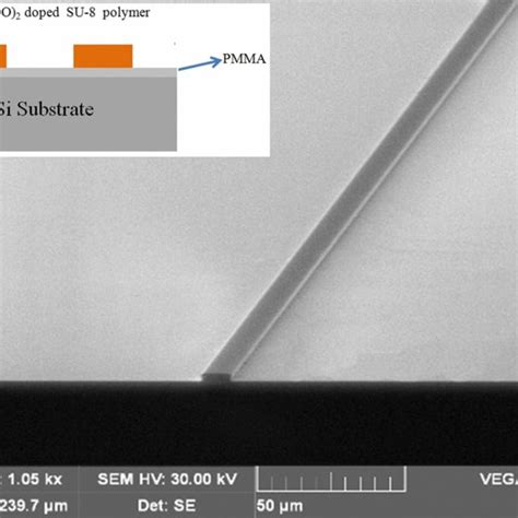Cross Section Of Ndtta3tppo2 Complex Doped Su 8 Polymer Waveguide Download Scientific