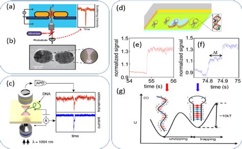 Label Free Detection Using A Plasmon Resonance Shift A Scheme Of A