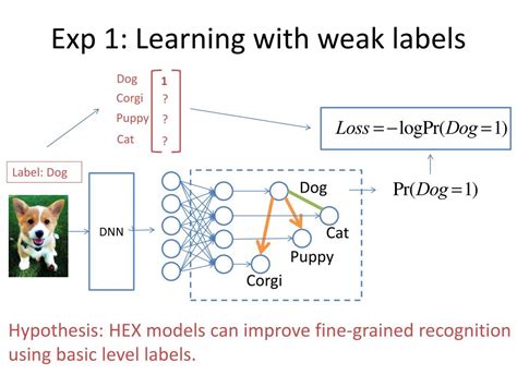 Ppt Large Scale Object Recognition Using Label Relation Graphs