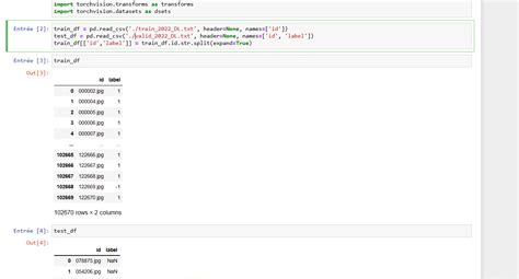 Image Classification Tensor Projects Pytorch Forums
