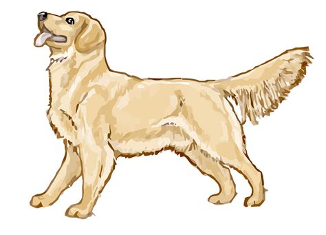 Free Golden Retriever Clip Art Download Free Golden Retriever Clip Art