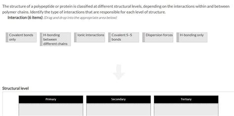 Solved Which Terms Could Be Used To Classify A Polypeptide