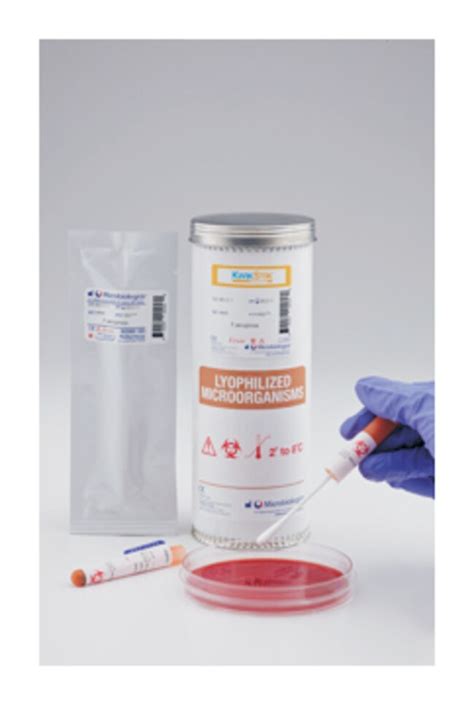 Microbiologics Cryptococcus Gattii Atcc Mya 4560 Diagnostic Tests And Controls Chemistry