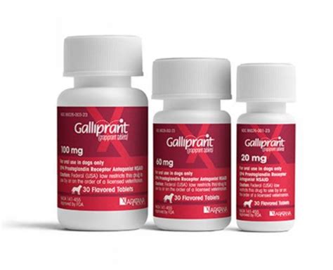 Galliprant Tablets For Dogs Cura