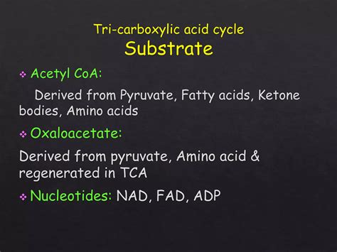 Class 8 Tca Cycle Pptx