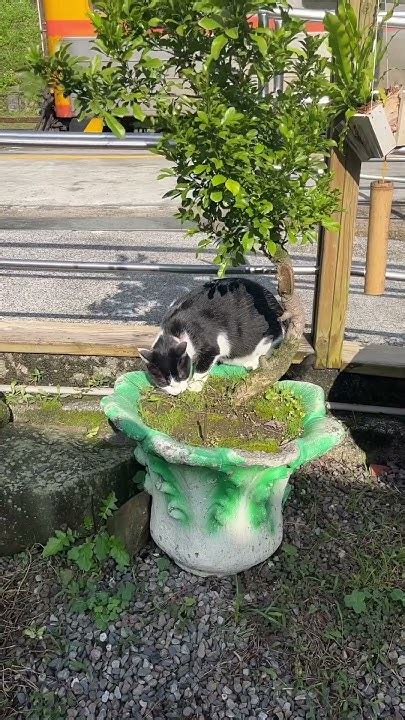 我餓了先充飢一下 Youtube