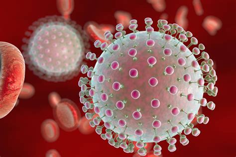 La Fiebre Es Mecanismo De Defensa Contra Infecciones ¿pero Cómo Actúa