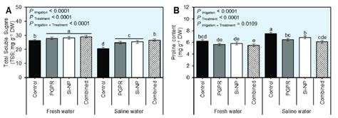 Effect Of Seed Inoculation With Pgpr Andor Si Np Foliar Application On