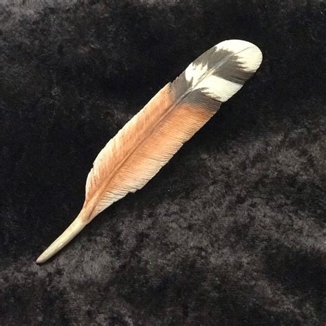 Kestrel Feathers Etsy