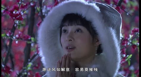 甄嬛传 甄嬛不会想到在除夕夜倚梅园的祈福，会是孽缘的开始