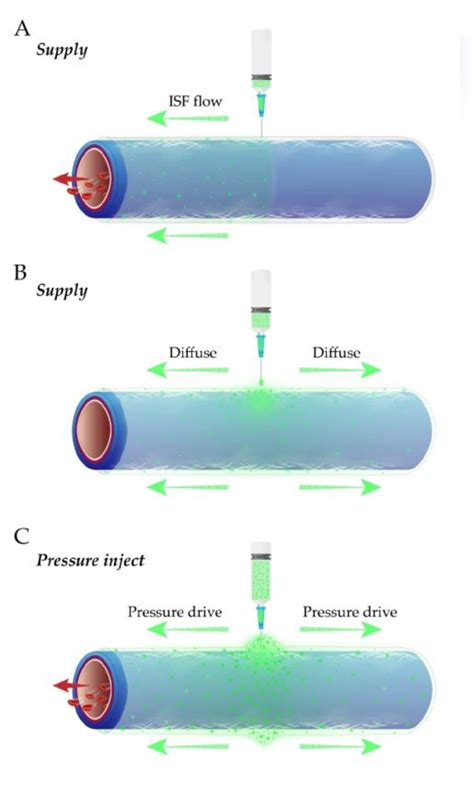 Three Different Fluorescent Tracer Approaches A Supplying