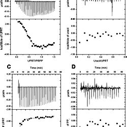 Isothermal Titration ITC Curves Of Binding Of Ligands To MtUPRT
