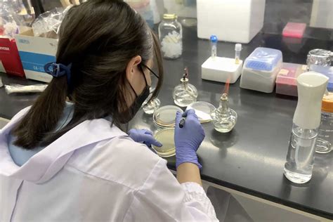 Upd Cs Launches Awareness Campaign On Genetic Modification And Gene