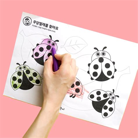 인지 발달 놀이 무당벌레를 찾아요 차이의 놀이
