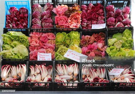 다양한 종류의 샐러드와 빨간색과 초록색의 Radicchio와 양상추가있는 상자 이탈리아어로 된 이름과 가격표가있는 청과물 가게에서 판매합니다 0명에 대한 스톡 사진 및 기타