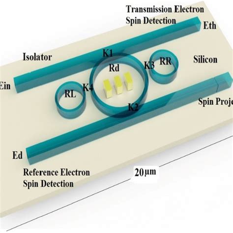 Schematic Of The Proposed Silicon Microring Circuit Where Ein Input